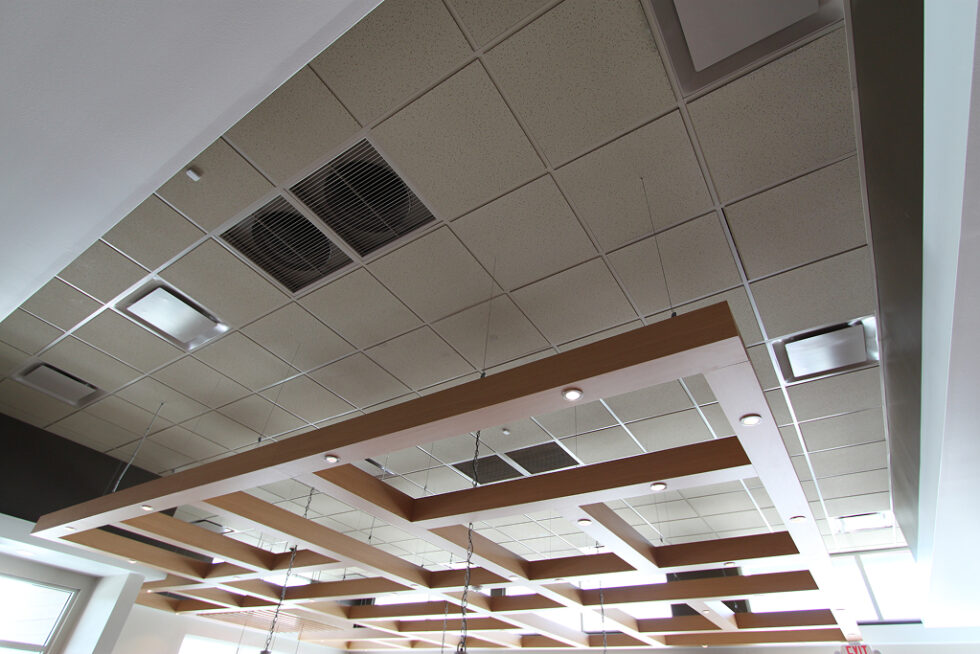 Restaurant Ceiling Tiles That Stay Spotless