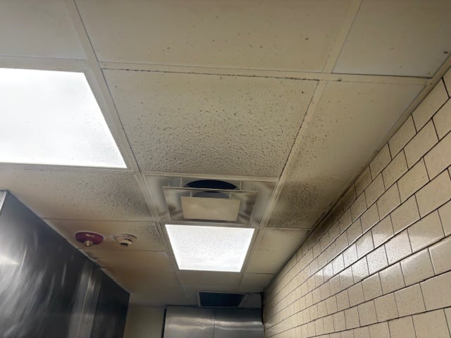 Ceiling Tile Cleaning Methods For Commercial Spaces